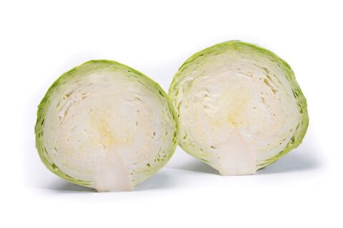 Kvalitetno hibridno seme (Gepard, Takii) i sorte kupusa, garantovano ...