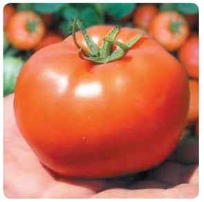 Bobcat F1 – agrogru