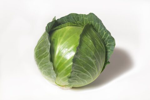 Kvalitetno hibridno seme i sorte kupusa, garantovano visok prinos – agrogru