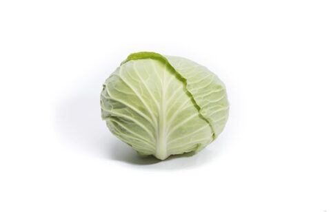 Kvalitetno hibridno seme i sorte kupusa, garantovano visok prinos – agrogru