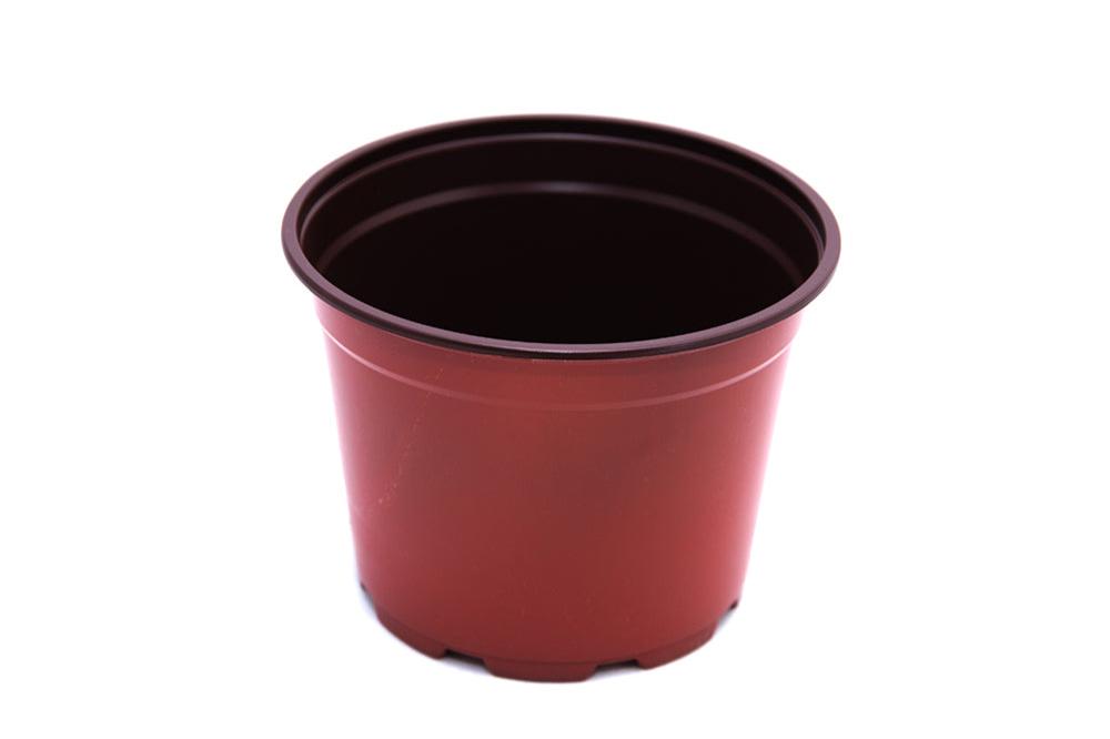 Čaša za rasad F12/ 100 kom – agrogru