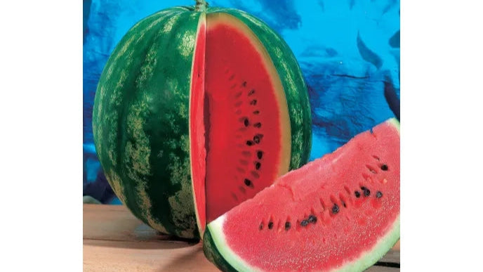 Crimson sweet 100g (agro tip) – agrogru