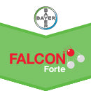 FALCON FORTE – agrogru