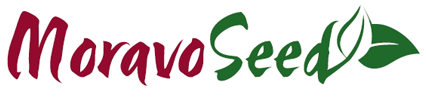 Hibridno seme mrkve, šargarepe – Visokoprinosne sorte za profesionalnu ...